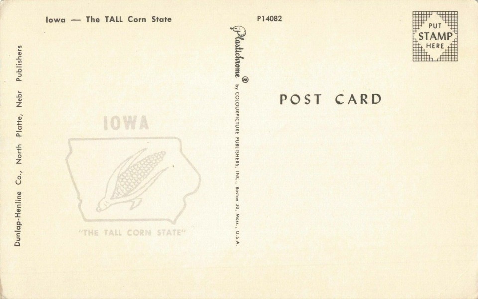 Postcard Iowa The Tall Corn State | eBay