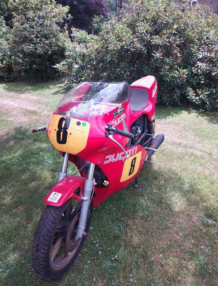 1982 Ducati Pantah 600cc – Classic F2 Racer Spec | eBay UK