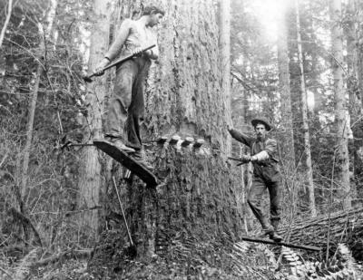 Two Loggers Springboards Oregon Old Lumber Jack Photo Picture 8.5" x 11 ...