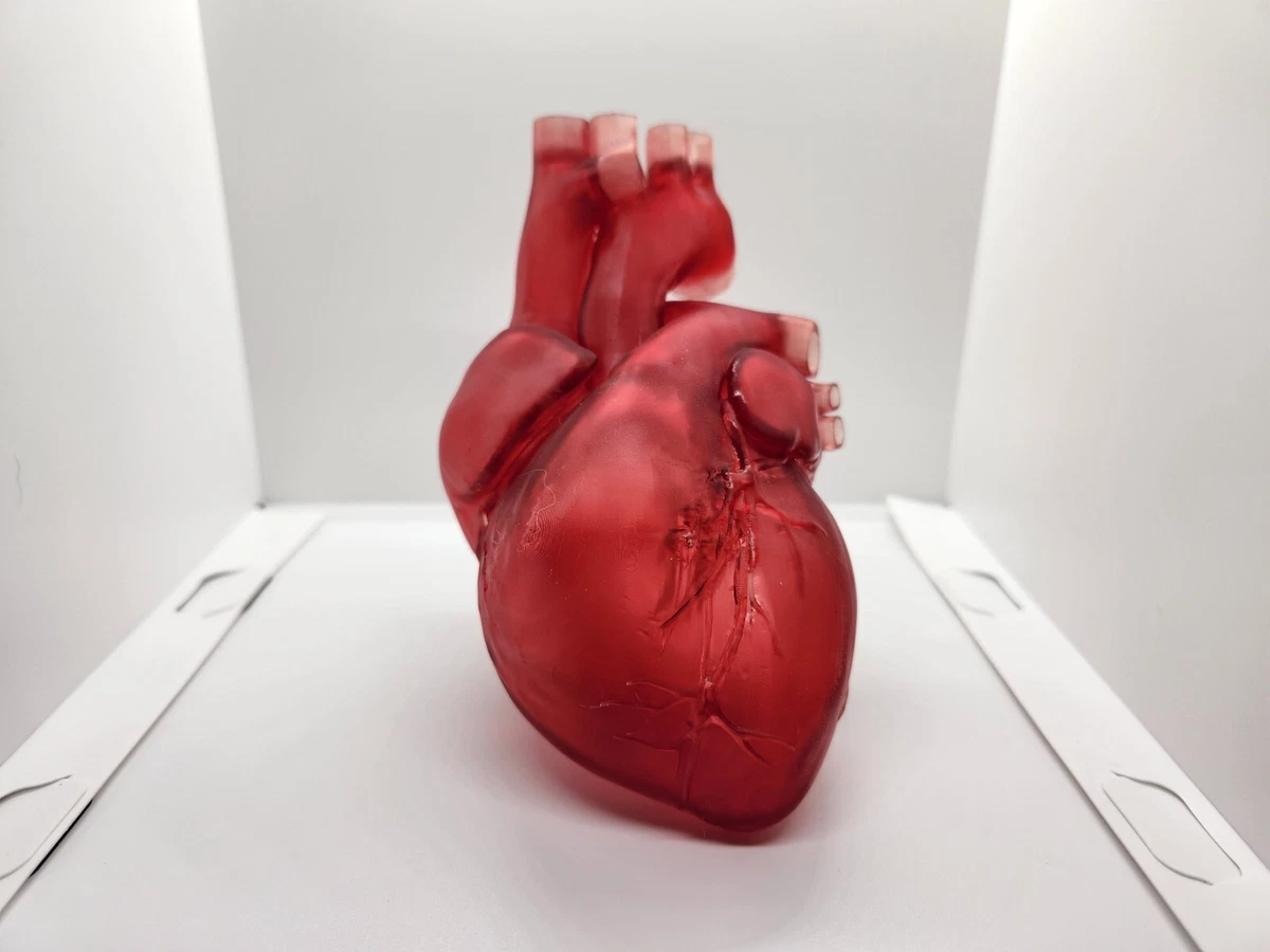 Real Transparent Heart