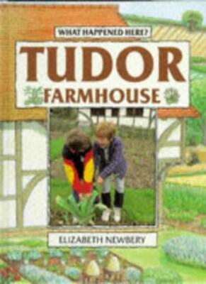 Tudor Farmhouse (What Happened Here) By Elizabeth Newbery ...
