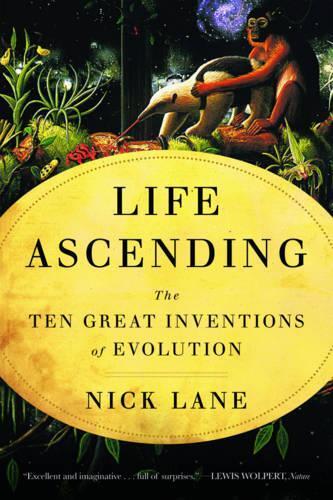 Nick Lane Life Ascending (Poche) 9780393338669 | eBay