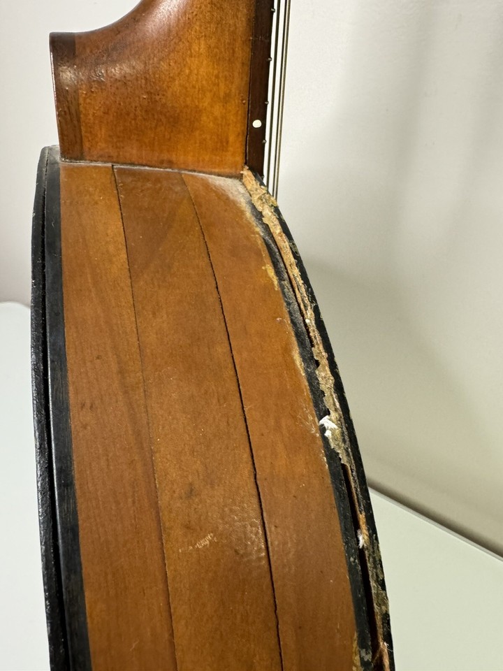 Antique Round Body Mandolin 8 String Restoration Project Instrument ...