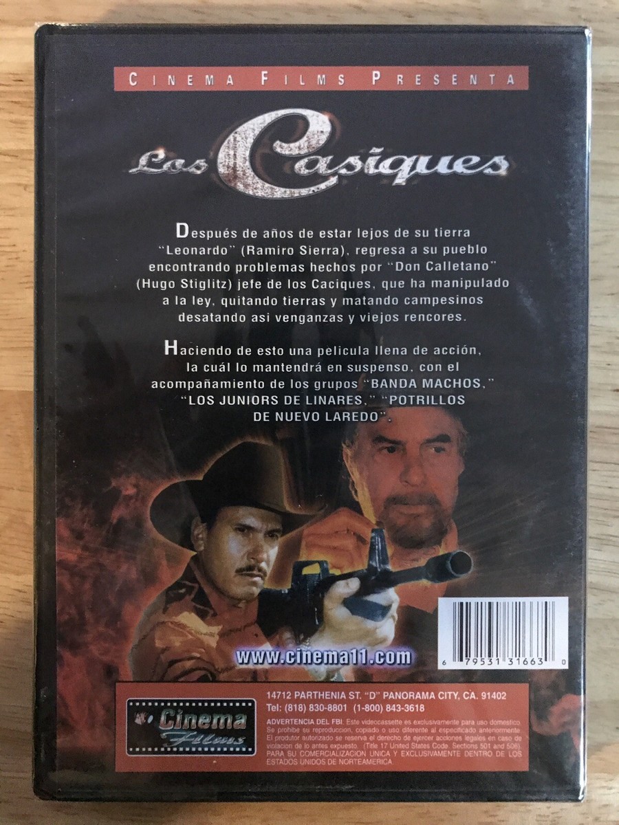 Samantha Stiglitz Wedding