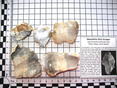 Mesolithic flint stone age tools scrapers Milton Abbas Dorset 7,000 B.C ...