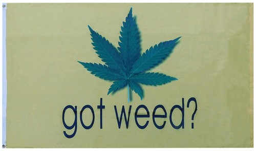 3X5 GOT WEED MARIJUANA CANNIBUS YELLOW 100D FLAG BANNER | eBay