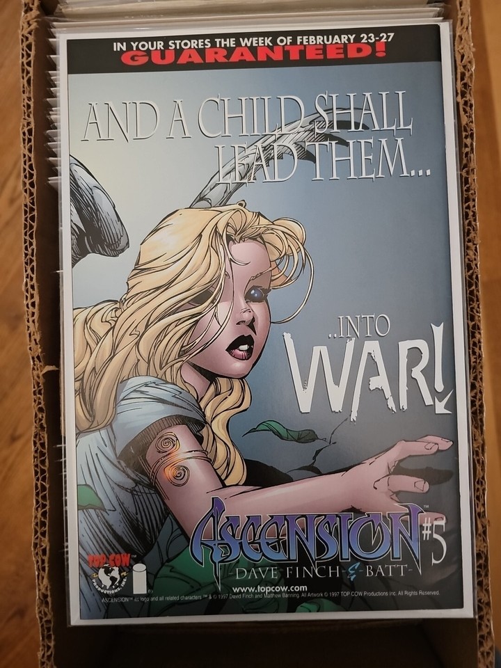 Witchblade #20 Image | Michael Turner Top Cow - 31WB | eBay