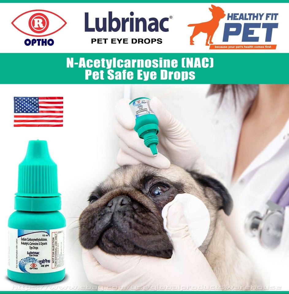 Eye Drops CATARACT USA OFFICIAL USA AYURVEDIC PETS Dry Eye Support ...