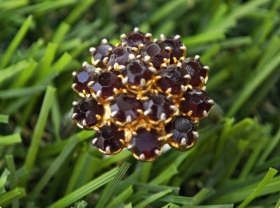 Antique Bohemian garnet cluster ring | eBay