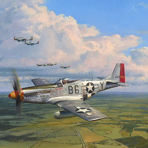 Aces High Gallery | eBay Stores