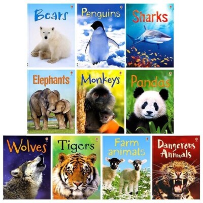 Usborne Beginners Animals Collection 10 Books Set Bears, Dangerous ...