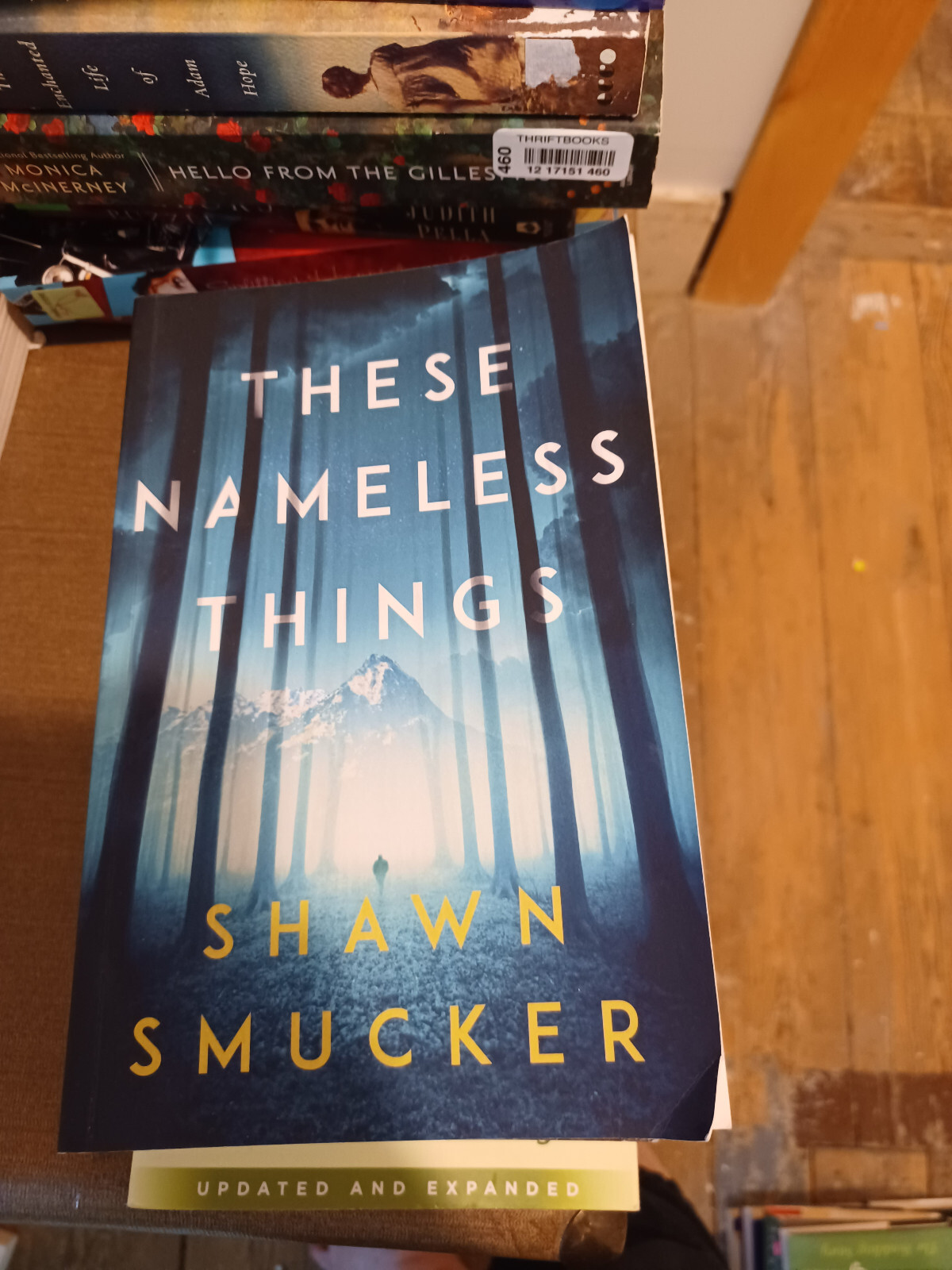 These Nameless Things by Smucker, Shawn trade paperback 9780800735302 | eBay