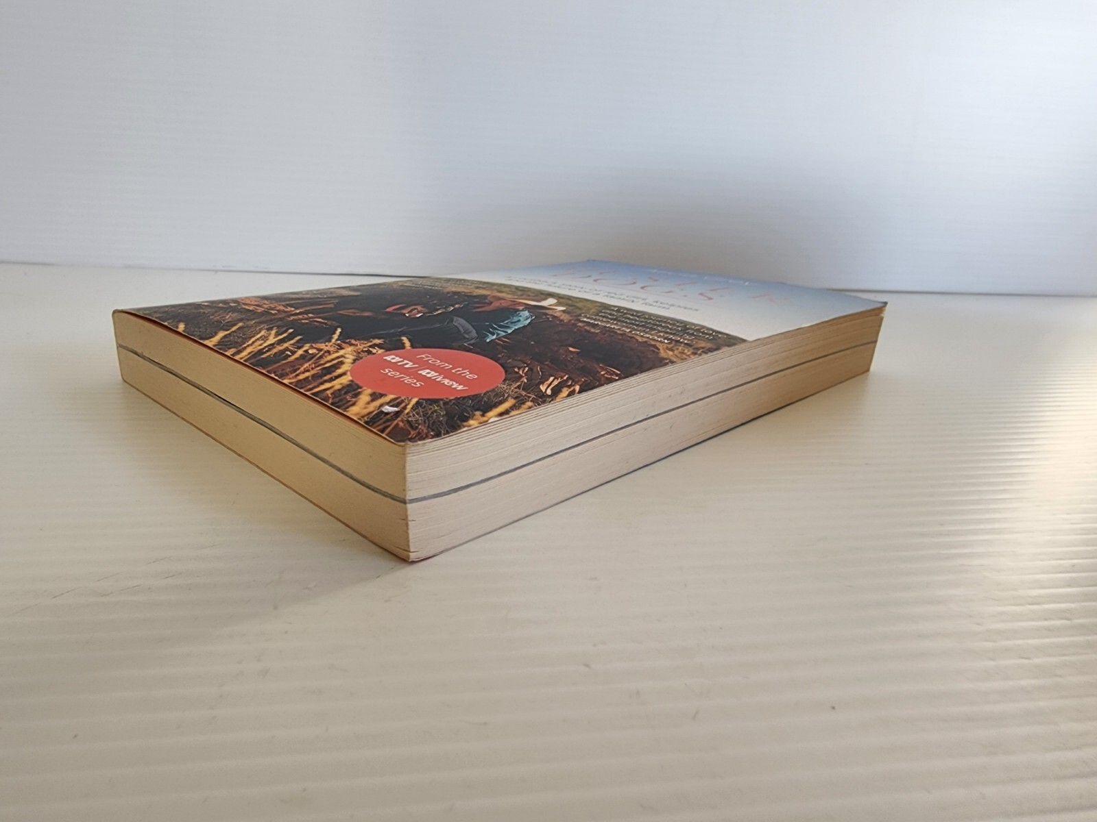 Muster Dogs: the companion book to the ABC TV series by Aticia Grey ...