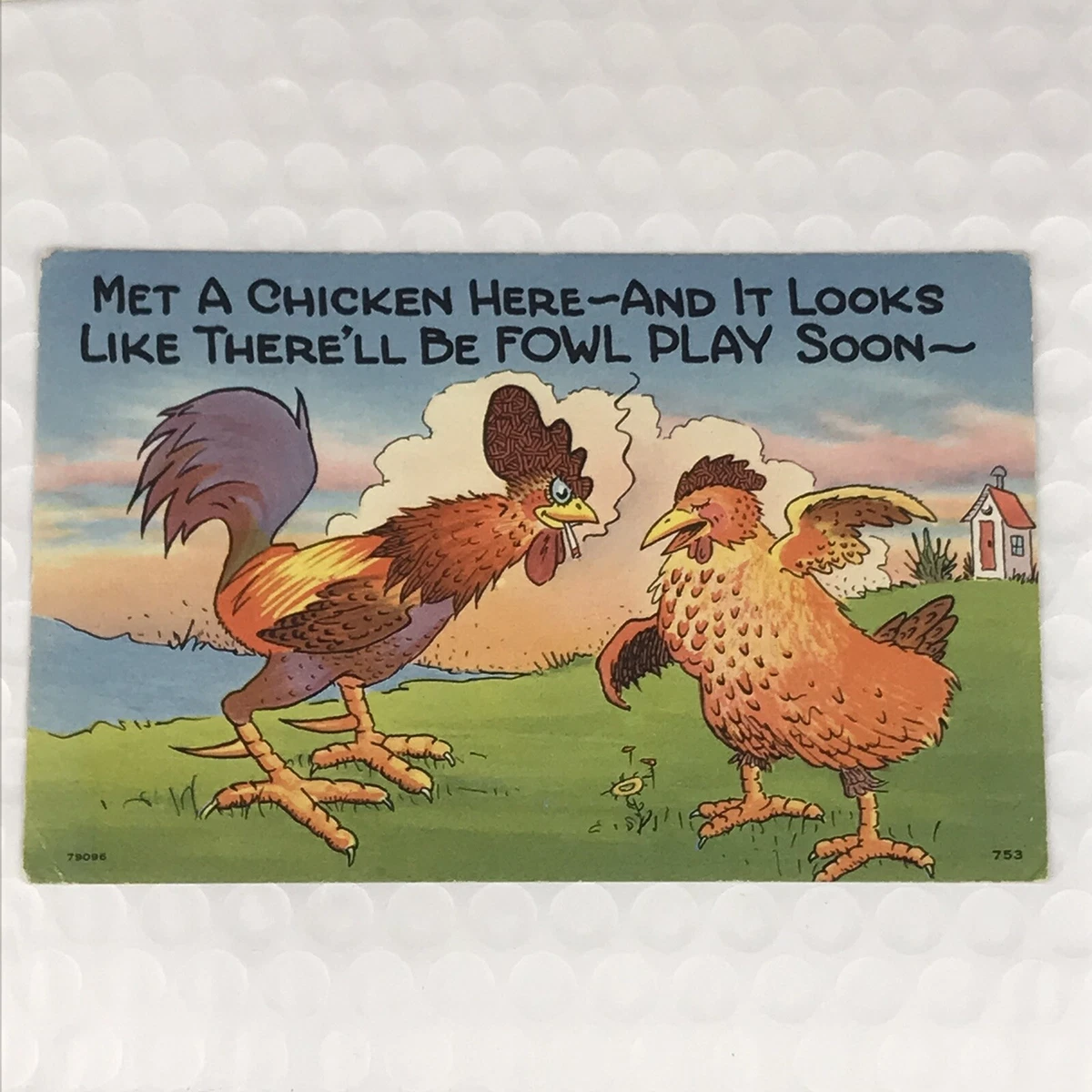 Funny Cartoon Chicken
