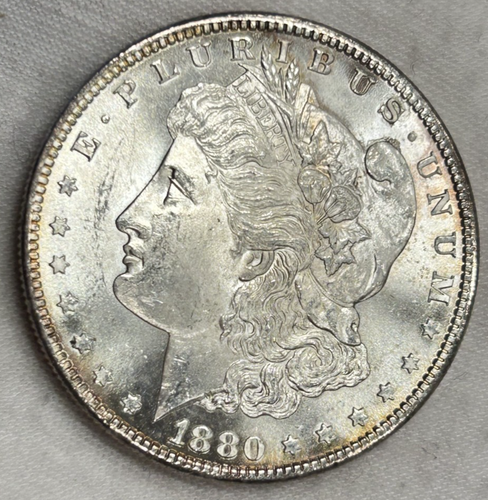 1880-S $1 Morgan Silver Dollar San Francisco BRILLIANT LUSTER! EDGE TONER! | eBay