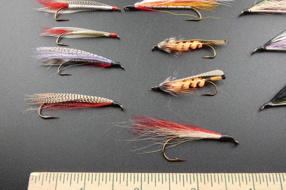 Streamer Flies for Brook Trout and Landlocked Salmon 24 Piece Assorted ...