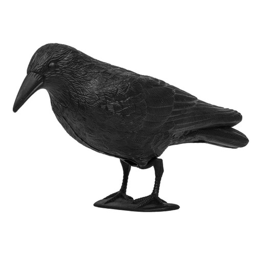 Bird scare standing crow raven bird pigeons defense scarecrow pigeon ...