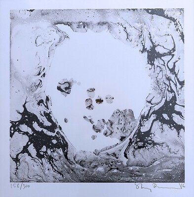 Stanley Donwood WRAITH screen print Radiohead art A Moon Shaped Pool ...