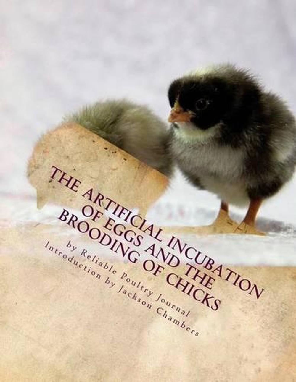 The Artificial Incubation of Eggs and the Brooding of Chicks by ...