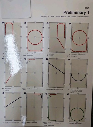 New 2024 Dressage Tests Preliminary Level | eBay UK