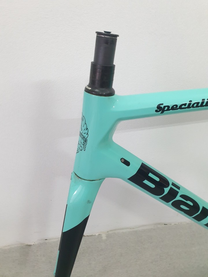 Bianchi Specialissima CV Carbon Frameset Size 55 Rim Brake | eBay