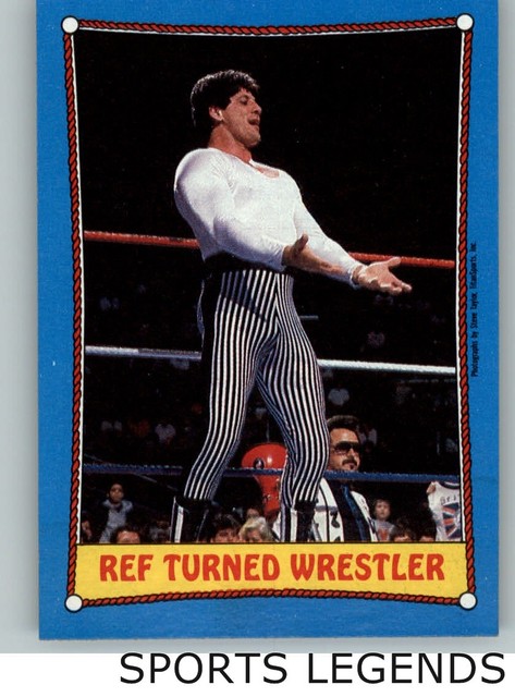 1987 Topps WWF WWE #23 Danny Davis | eBay