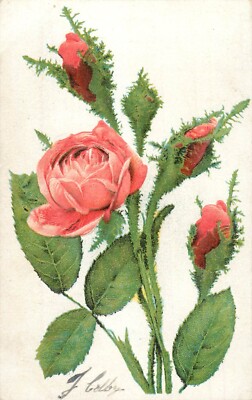 Postcard flowers J. Colby red rose fantasy | eBay