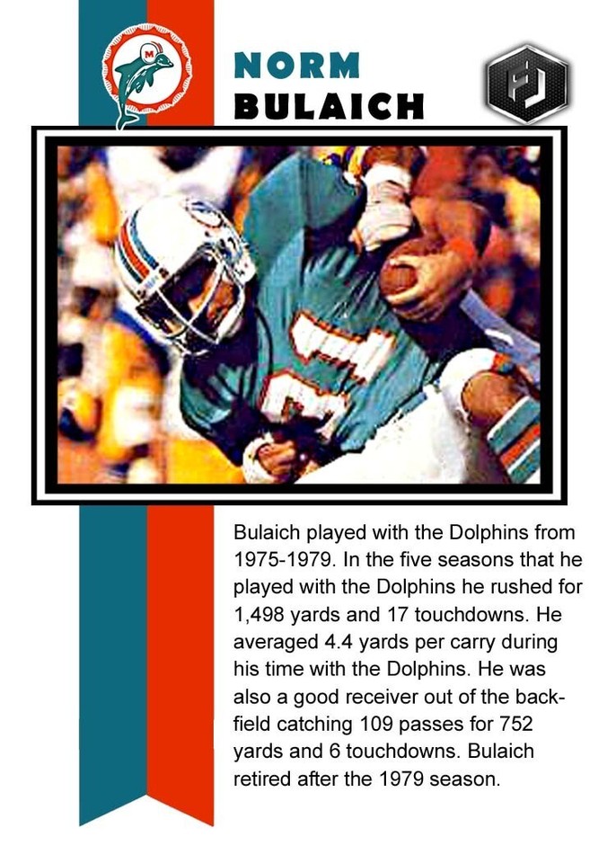 ACEO NORM BULAICH MIAMI DOLPHINS CUSTOM HAND MADE ART CARD | eBay