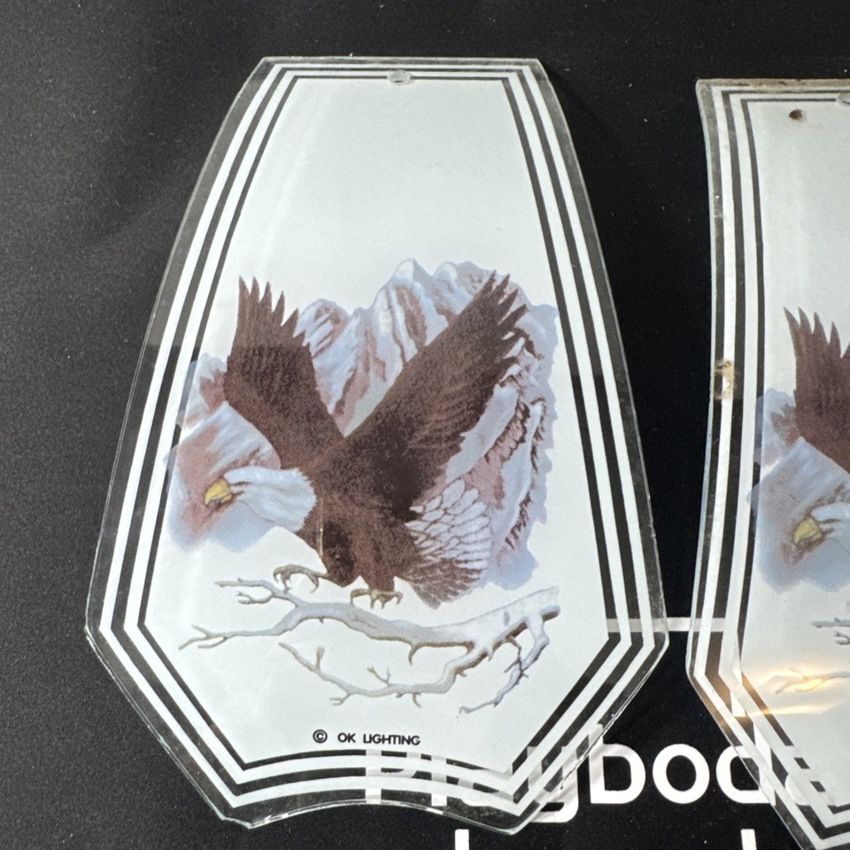 Lot Of 7 Eagle Replacement OK Lighting Lamp Panels Need Cleaning | eBay
