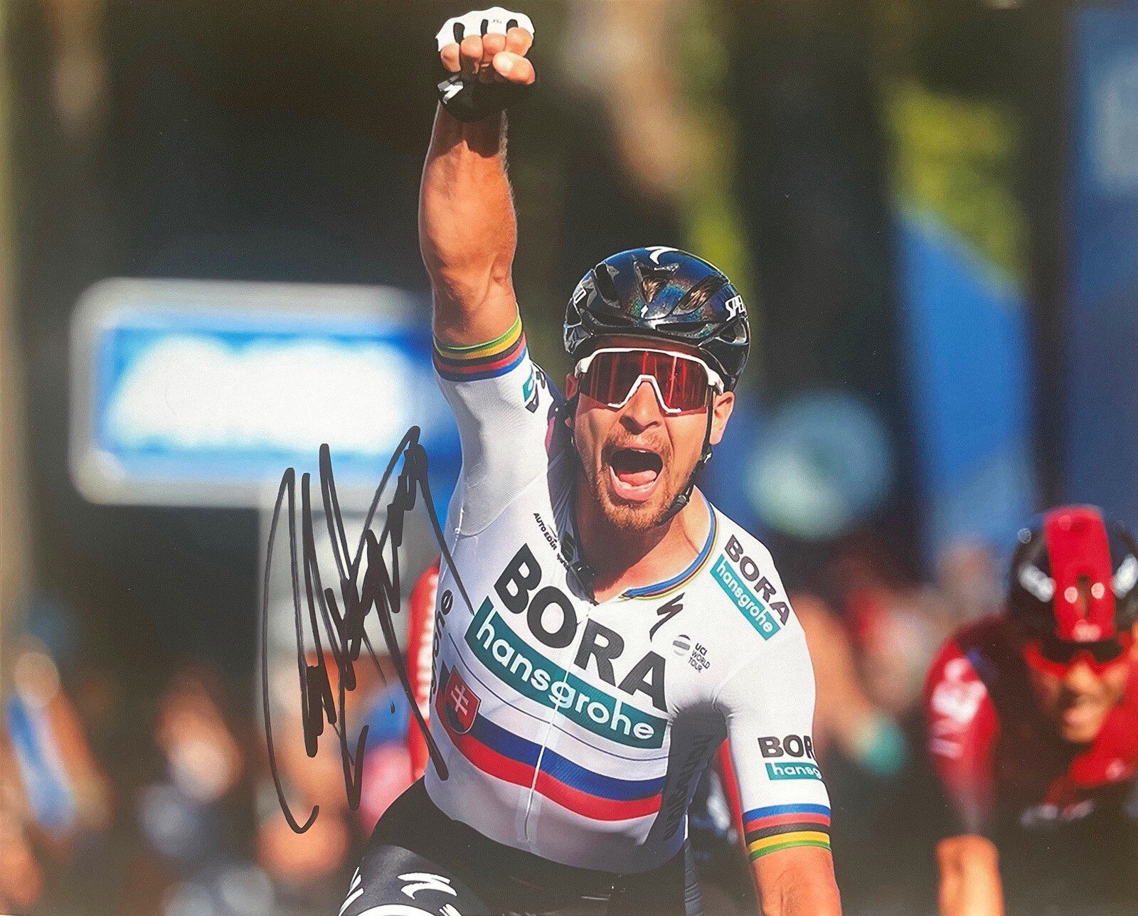 Peter Sagan Signed 10x8 Pre-Print Tour De France Rainbow Jersey Photo ...