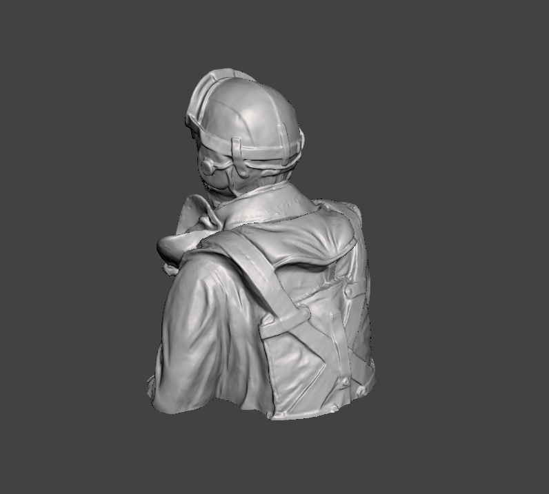 WWII USAF war pilot bust STL | eBay