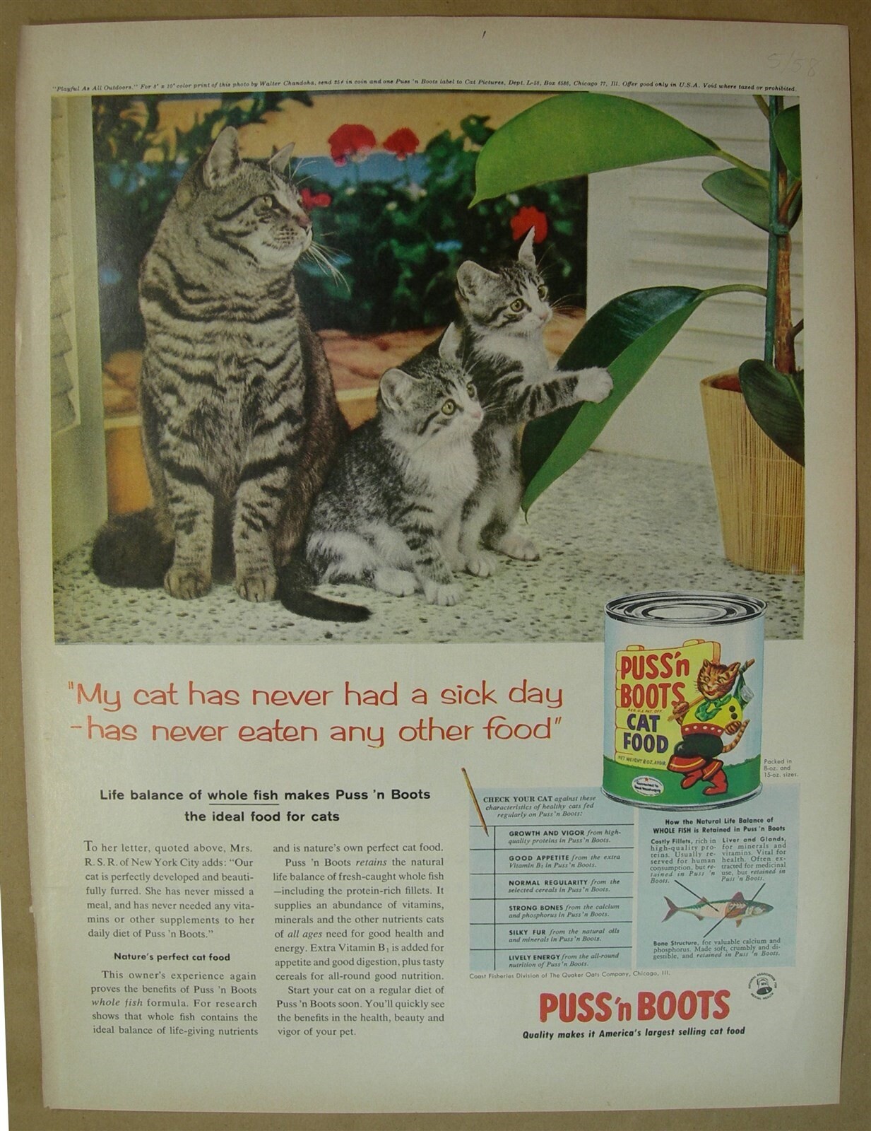 1958 Big ad- Puss'n Boots cat food pic Walter Chandoha- Chun King ...