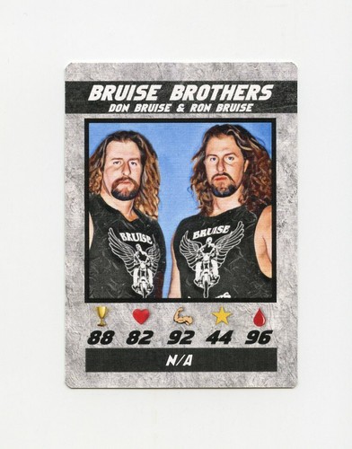#TN06895 BRUISE BROTHERS DON BRUISE & RON BRUISE Territory O Wrestling ...