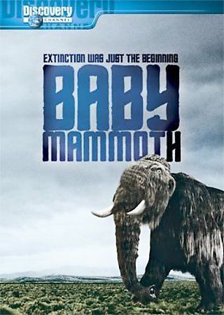 Baby Mammoth: Raising the Mammoth (DVD, 2008, Discovery Channel) for ...