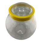 Solar Sun Tea Maker Glass Jar Canister w/ Domed Lid 1970's Vintage W/ 6 ...