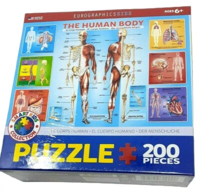 The Human Body Jigsaw Puzzle Eurographics Kids 200pc Puzzle Sz 19"x13 ...