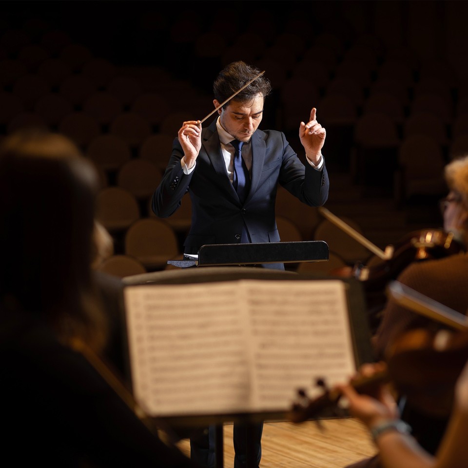 38cm/15" Music Conductor Baton, Orchestra Baton Resin Handle Black | eBay