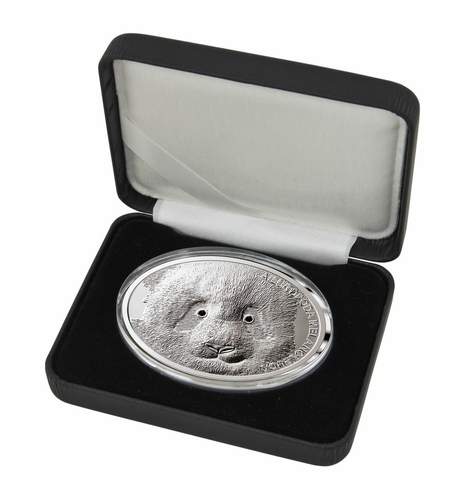 Fiji 2013 GIANT PANDA BEAR Onyx Eyes Fascinating Wildlife $10 1 Oz ...