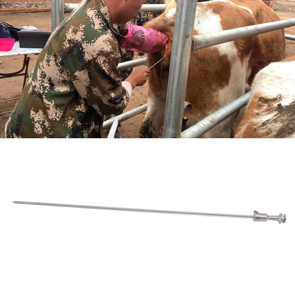 ⁺Bovine Insemination Pipe Stainless Steel Snap Spring Type Insemination ...