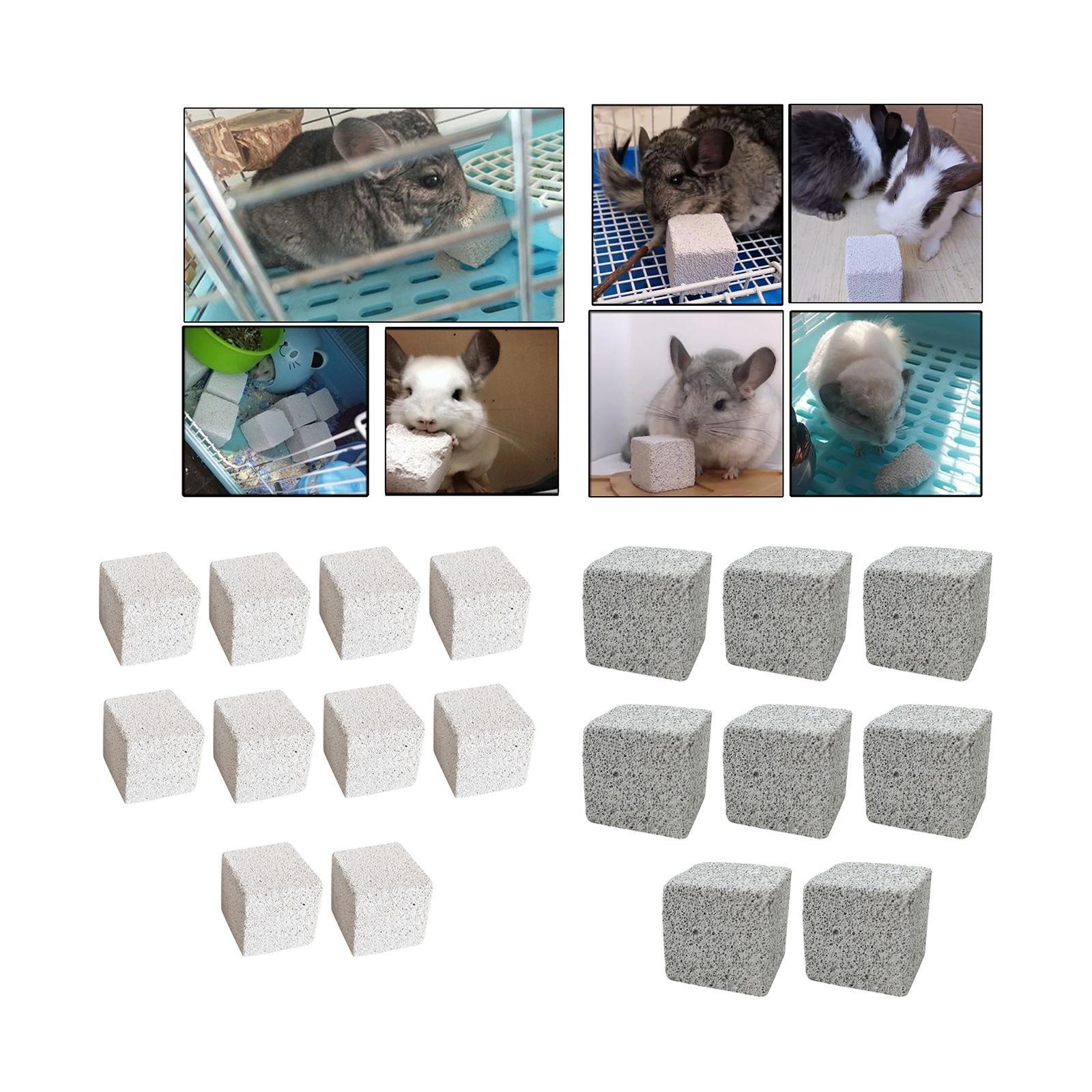 beautyjewelrey 10x Stone Square Hamster Grinding Pet Supplies, Stone ...