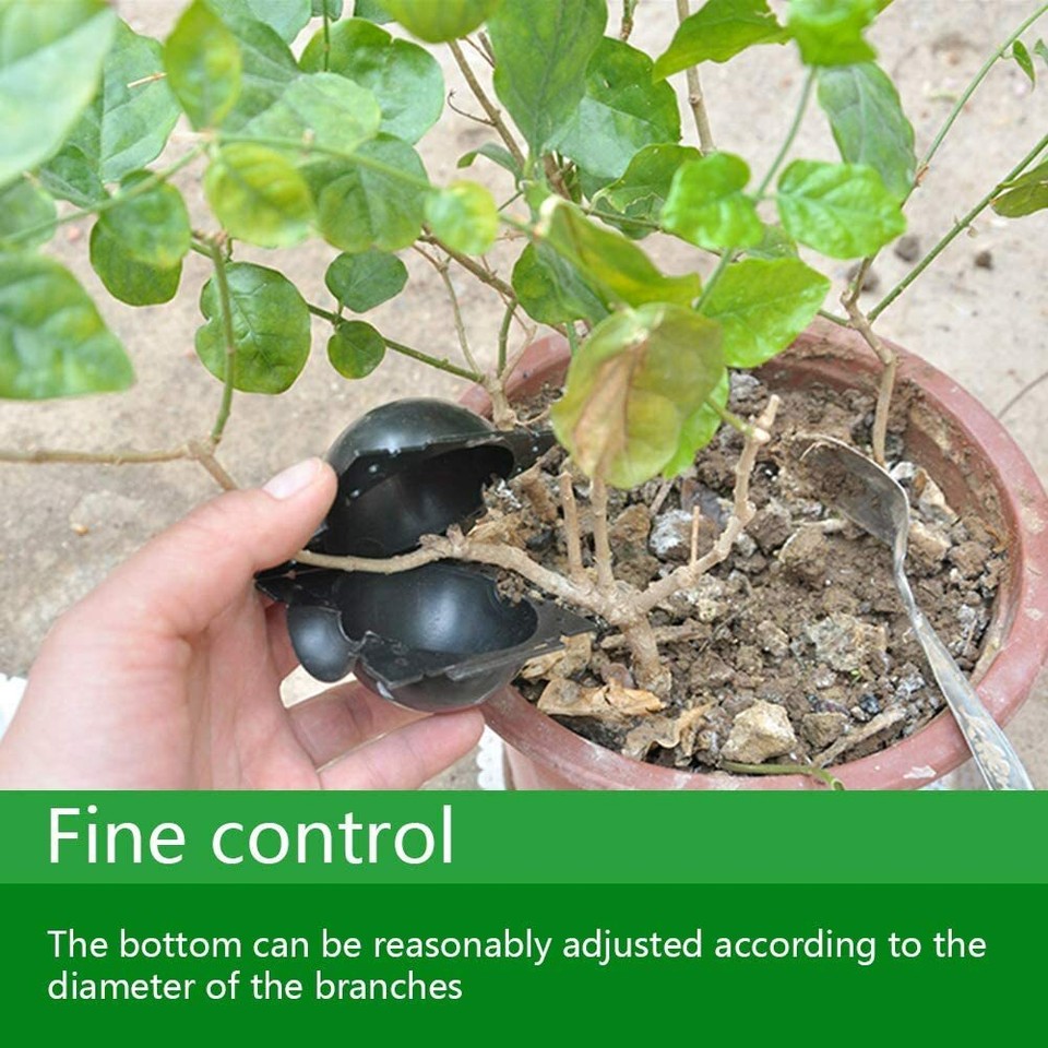 2/4/6/10 PCS Plant Rooting Device Grow Graft Box High Pressure ...