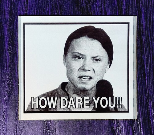 HOW DARE YOU!! Stickers (25-500) - Greta Thunberg, Extinction Rebellion ...