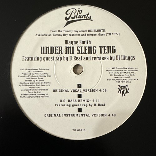 Wayne Smith - Under Mi Sleng Teng 12" VINYL - HIP HOP Record Promo 1993 ...
