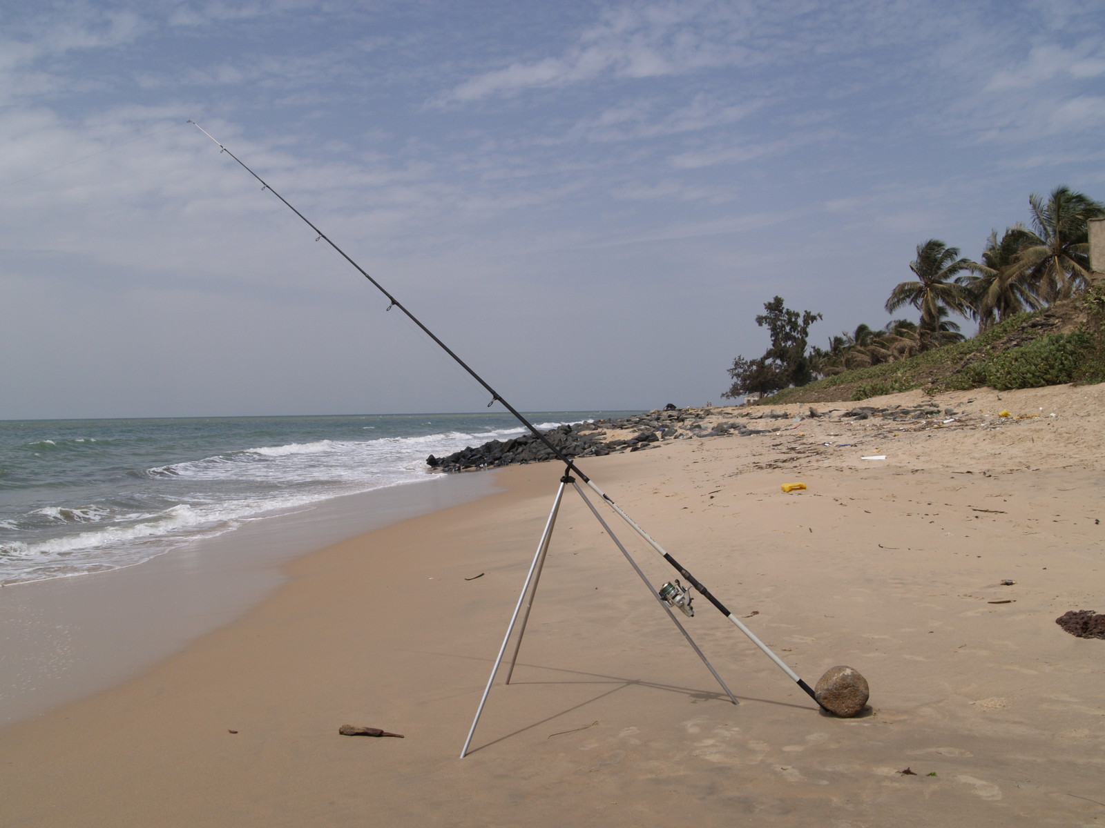 Fishing rod telescopic, beach caster/catfish/carp/pike | eBay UK