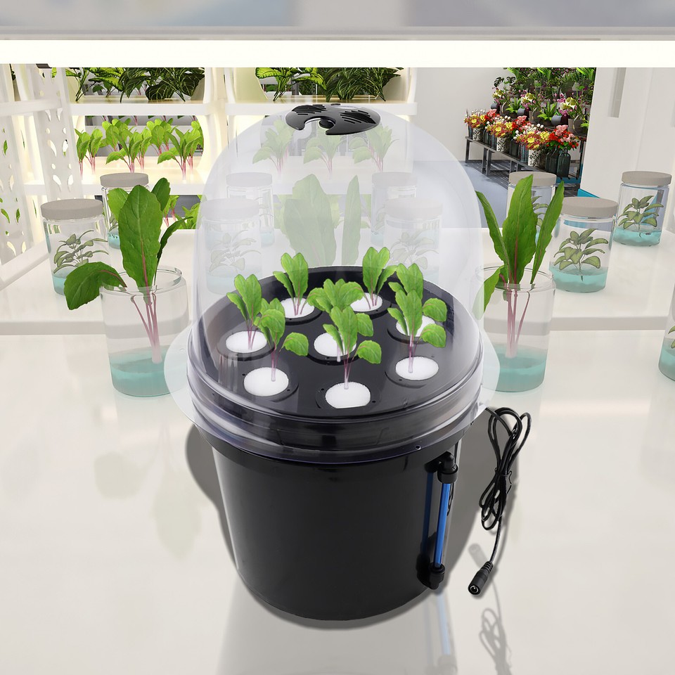 Plant Seedling & Cloning System -Growing Propagation Aeroponic ...