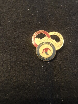 Banff Norquay Sunshine Canada Ski Pin (Latch back) | eBay