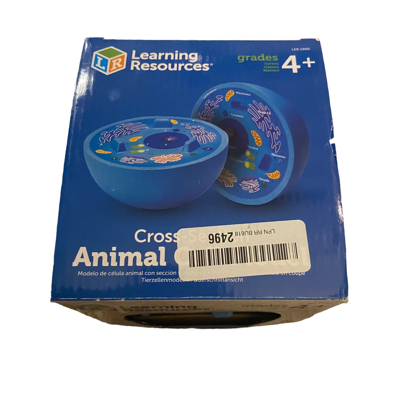 3d Animal Cell Model Project Styrofoam