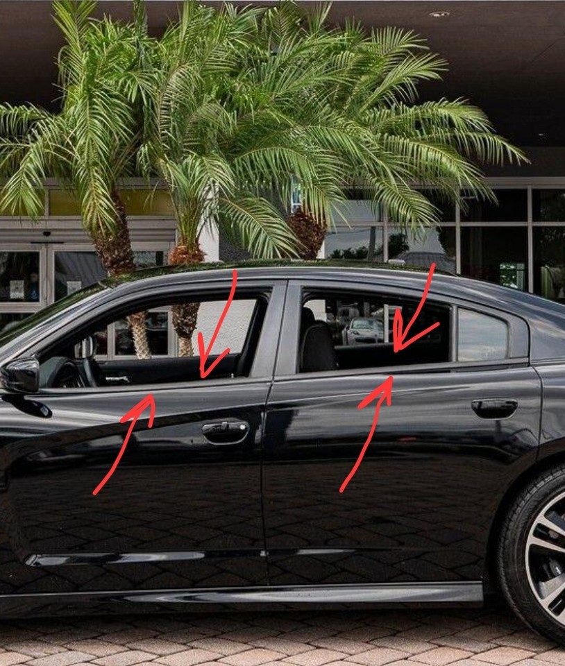 11-23 DODGE CHARGER WINDOW TRIM BLACK SWEEP BELT FELT MOLDING OEM SRT R ...