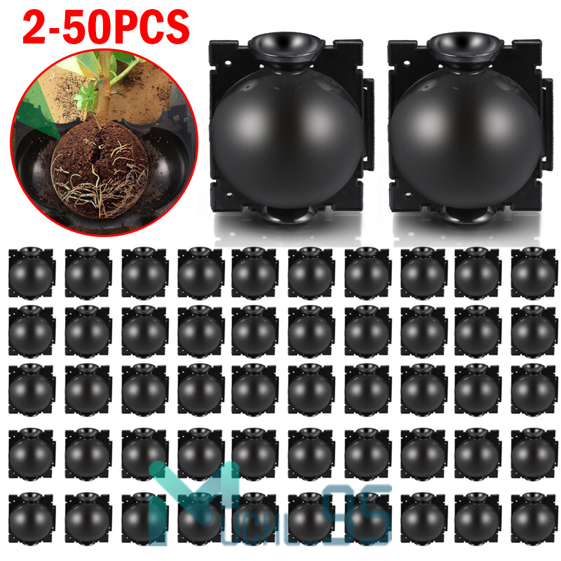 50 Plant Rooting Grow Device High Pressure Propagation Ball Box Growing ...