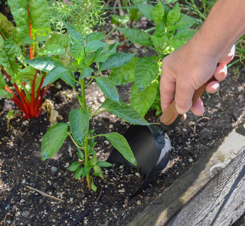 Garden Tool Set, 5 Pieces, Heavy Duty Powder Coated Steel, Cork Handle ...